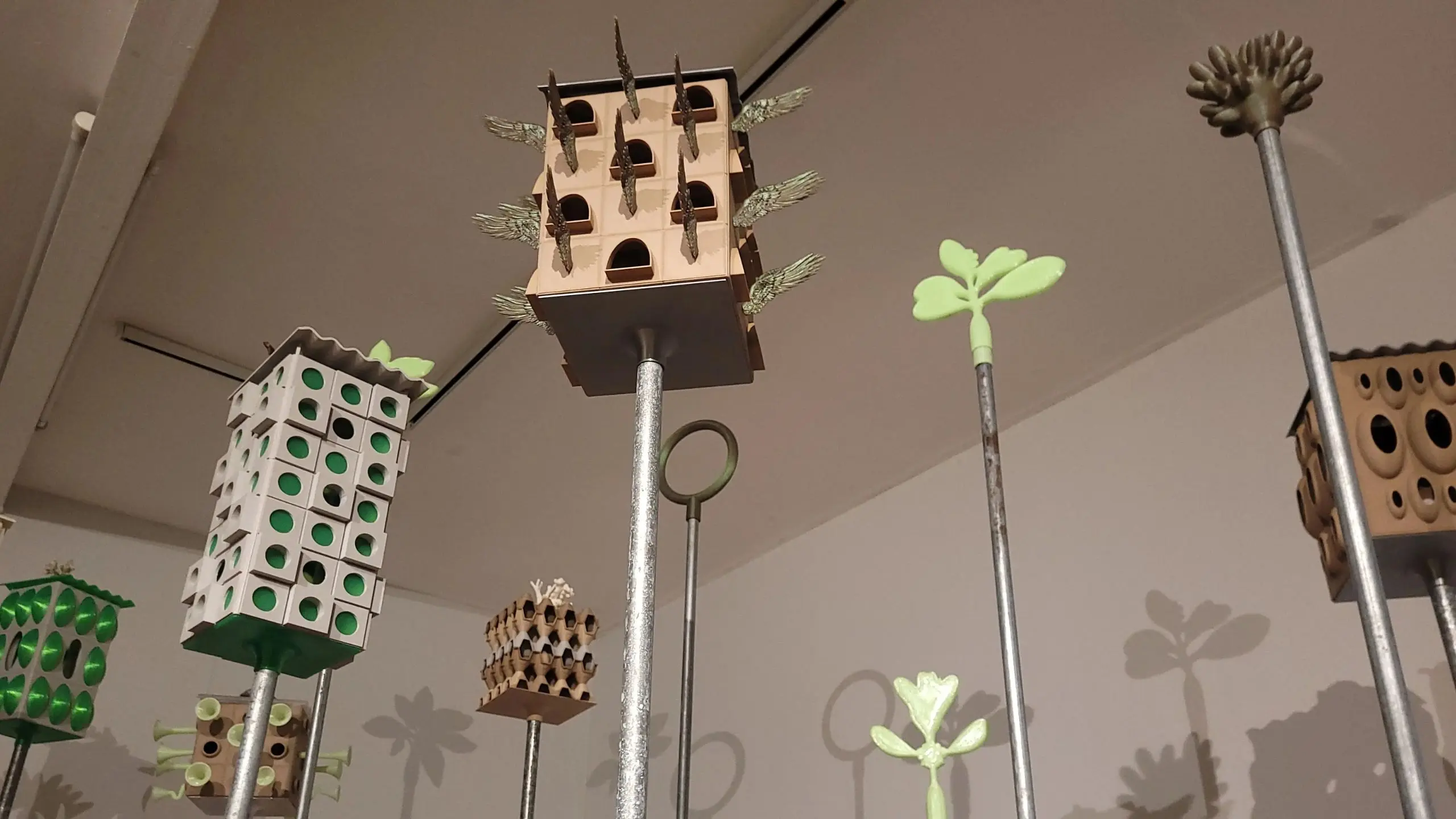 Tricking the Birds, Telling Truths: An Interview with Veronica Lazo ...