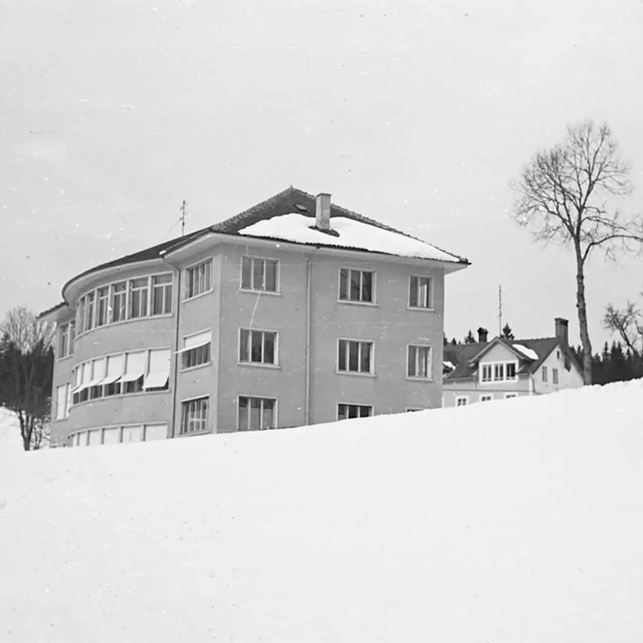 The Complete History of Piaget Watches - Robb Report Philippines